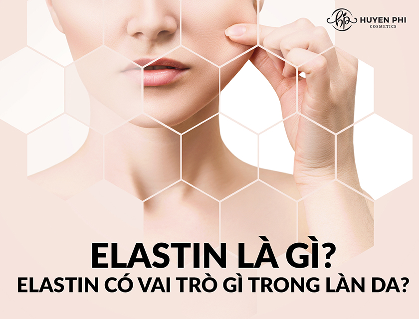 Elastin là gì? Elastin có vai trò gì trong làn da? - Mỹ phẩm Huyền Phi
